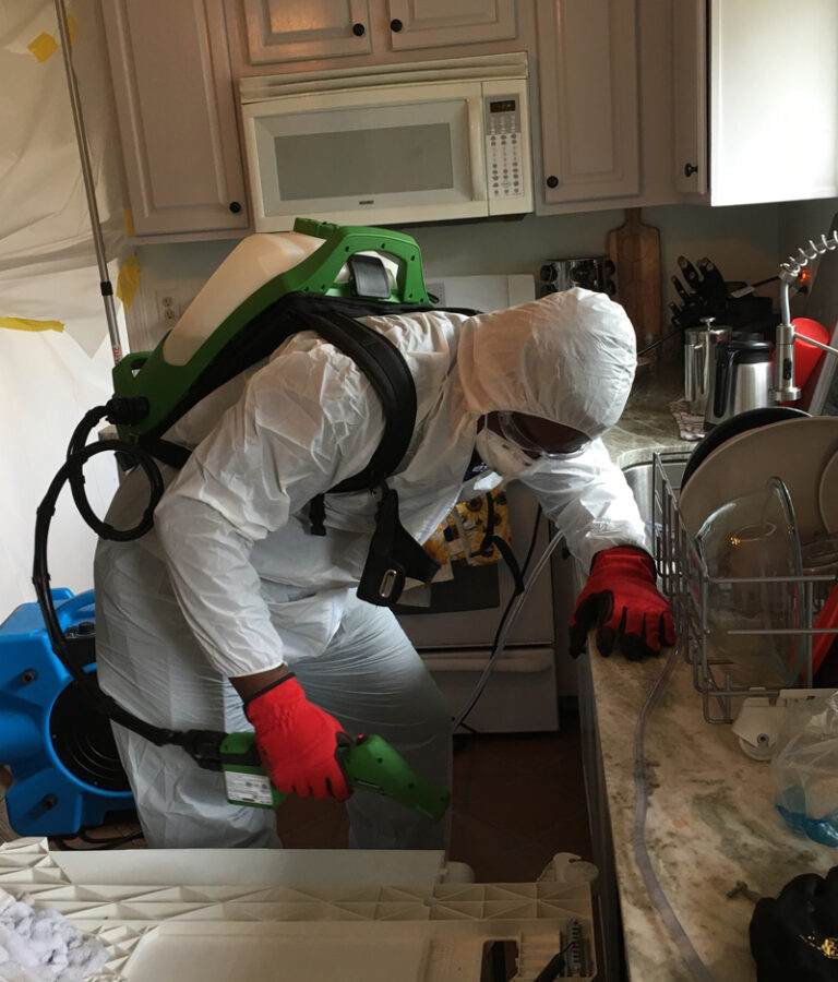 Home Disinfection, Coronavirus Disinfection Services in Alpharetta, GA